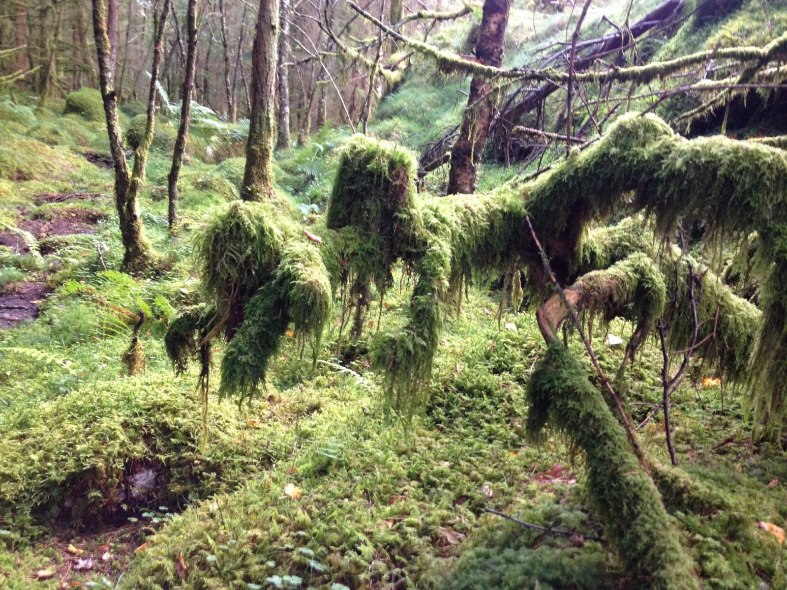 Aktivitetstips -på tur - Lillesand speidergruppe